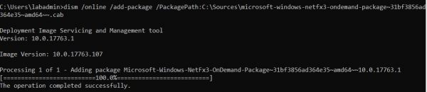 Installing Net Framework 35 On Server 2019 Fails System Management